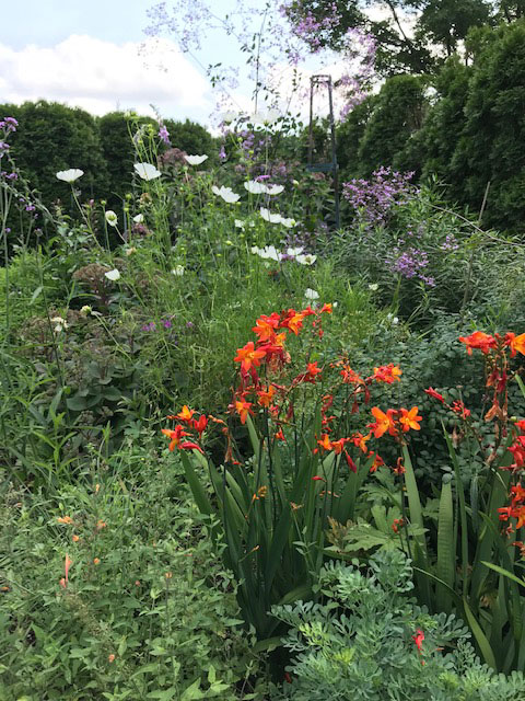 Portfolio of Work | Forest to Flora